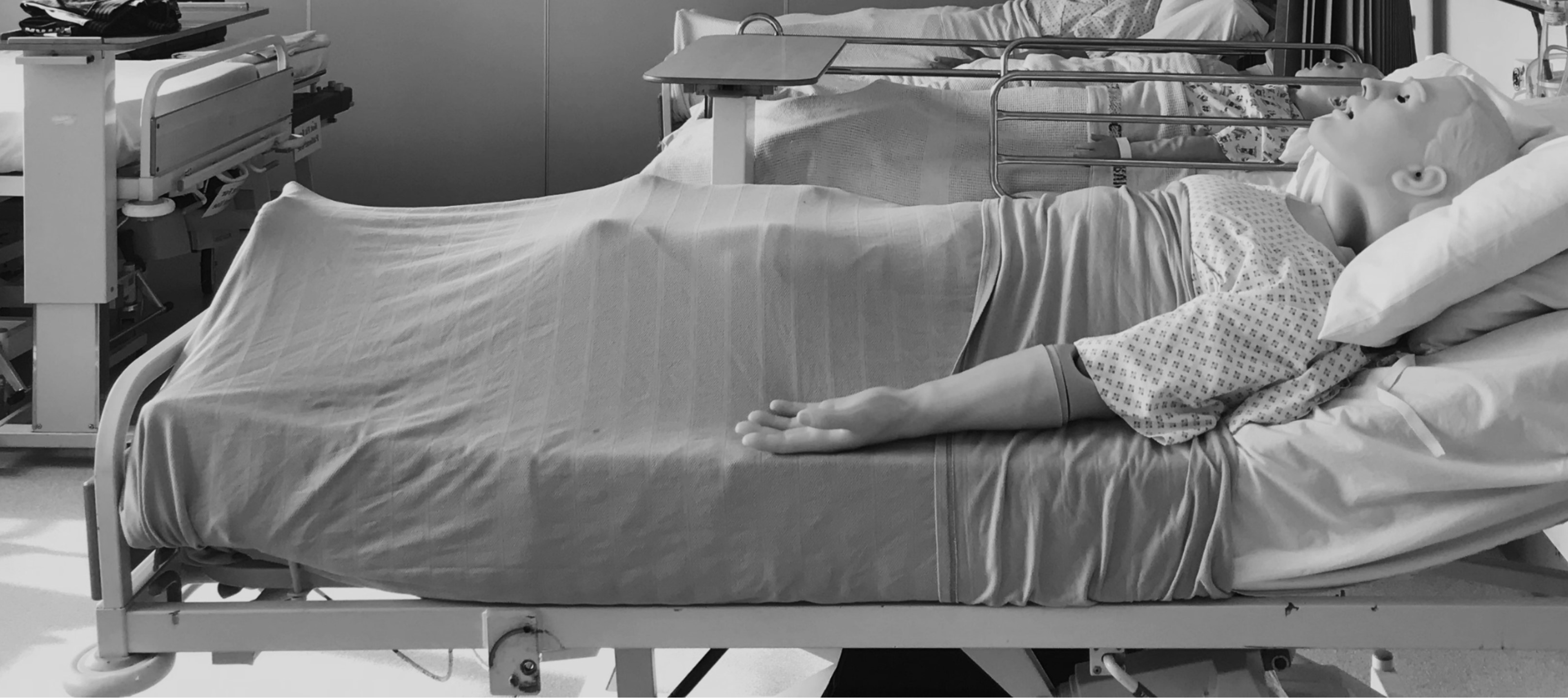 iRIS – The Intuitive, Collaborative,Simulation Authoring Platform